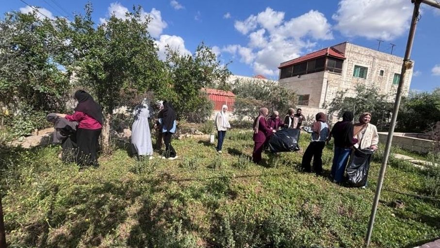 اختتام فعاليات برنامج "التطوع الأخضر" في الكرك...