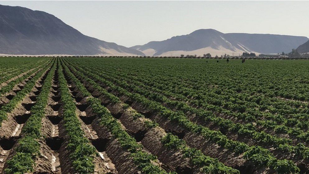 Jordan to set up a seed bank...