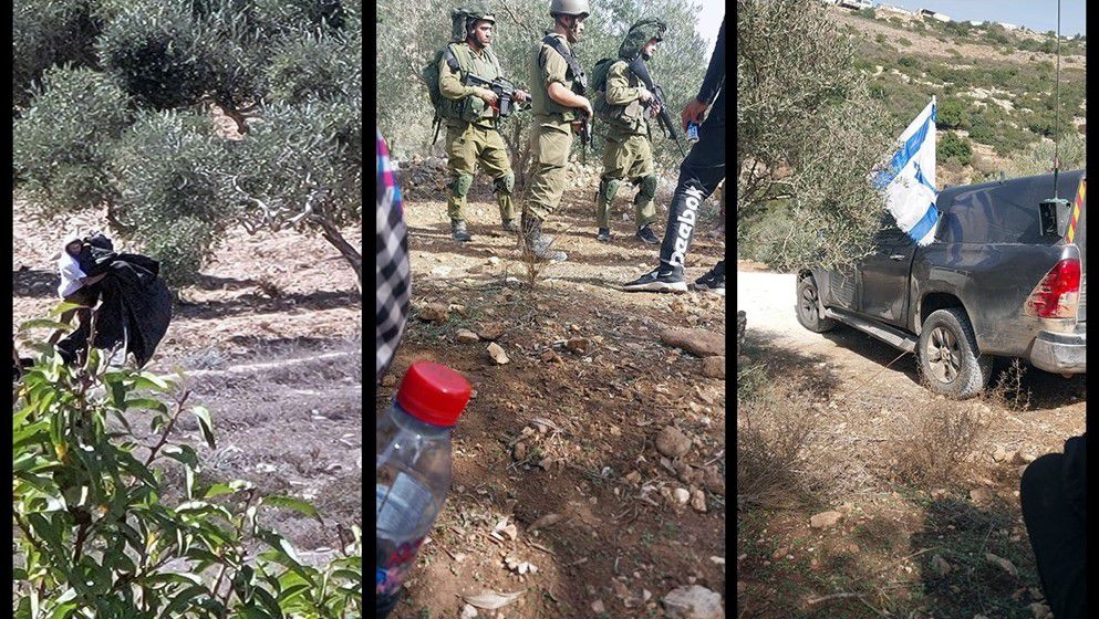 ‘The season has passed’: Gaza olive farmers struggle to salvag...