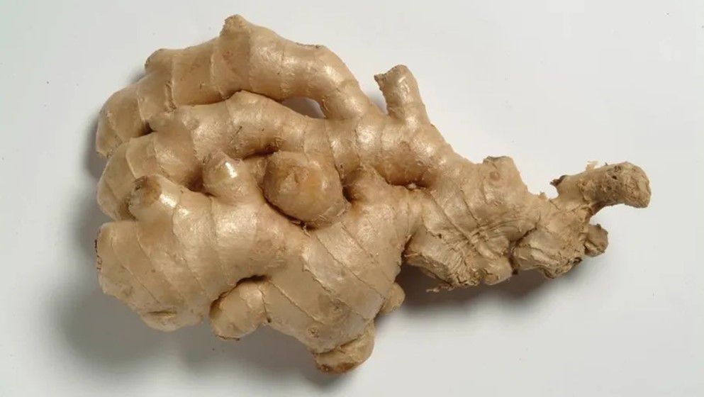 Does Ginger Really Help Treat Stomach Disorders?...