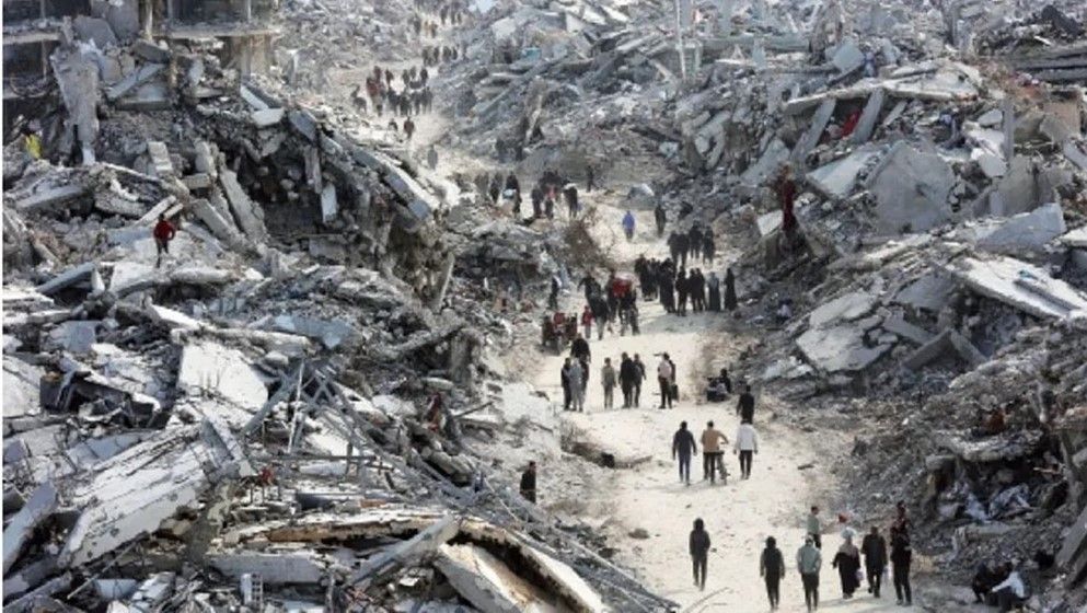 FAO: 80% of Gaza’s Farmland Destroyed, Imminent Famine Warning...