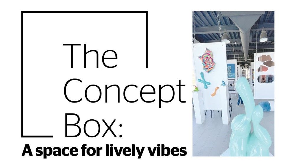The Concept Box: A space for lively vibes...