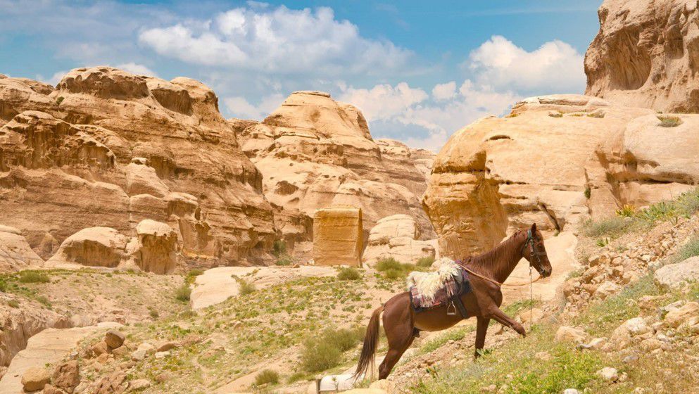 Jordan tourism e-campaigns reach over 800m people...