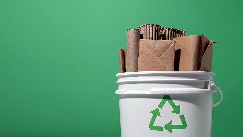 Paper recycling campaign launches in Irbid...