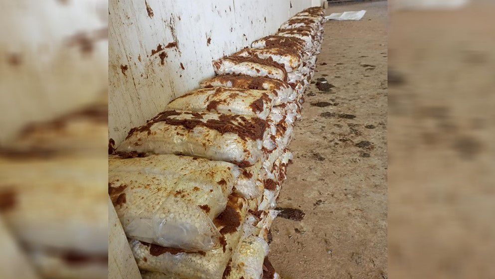 Iraq opens investigation after major drug seizure at Jordan bo...