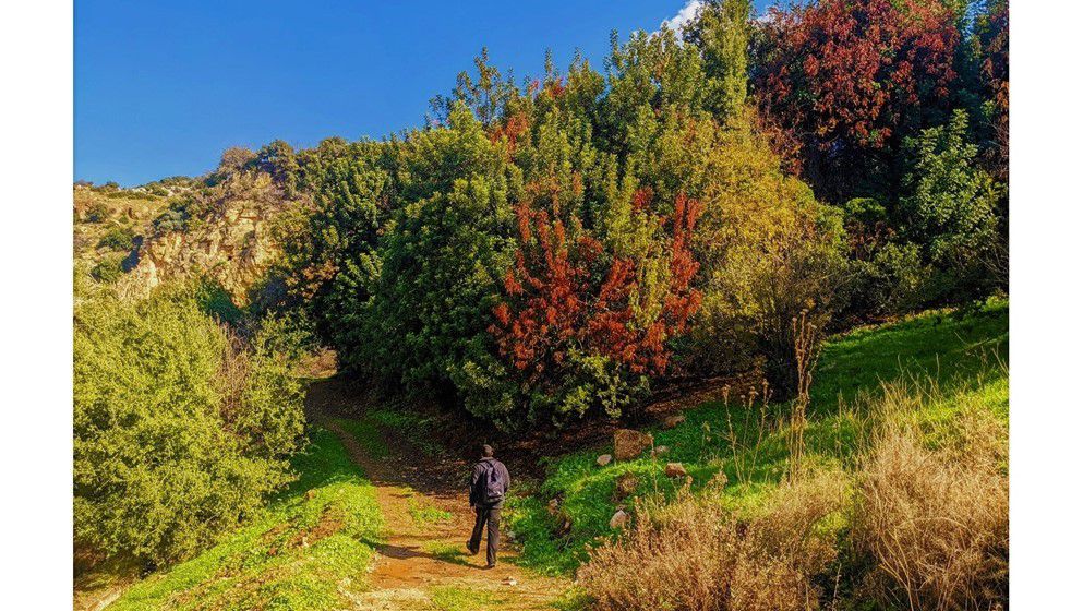 Hidden gem hike of the week: Wadi Rajeb...