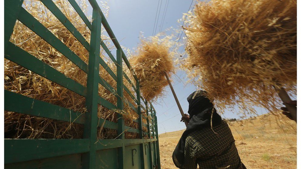 Jordan Farmers Association to address King Abdullah to protect...