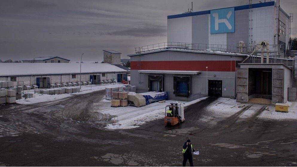 How one Ukrainian company survived, and thrived, through a yea...