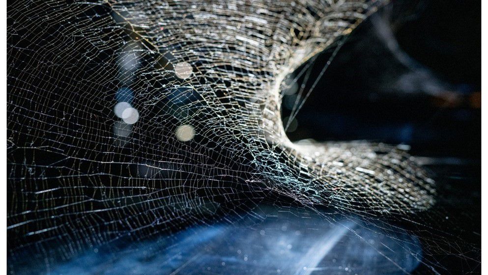 A human-sized spider web is getting a boost from TikTok...