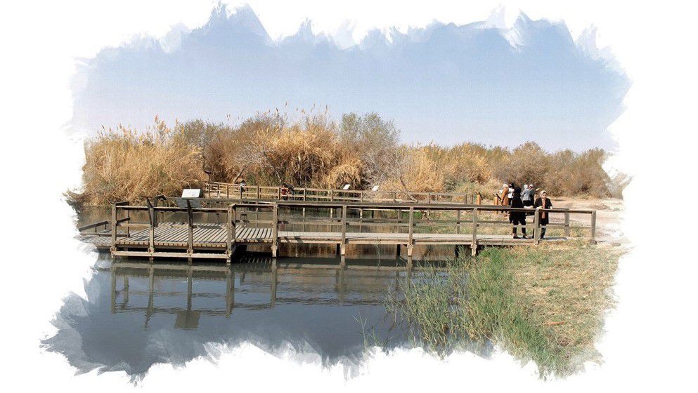 Hidden Gem Hike of the Week : Azraq Wetland Reserve and Qasr A...