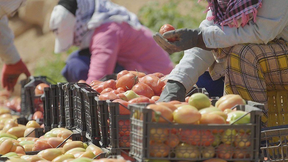 Minister promotes self-sufficiency, economic growth in agricul...