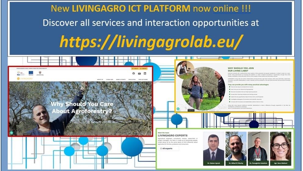 LIVINGAGRO Consortium events highlight developments in agrofor...