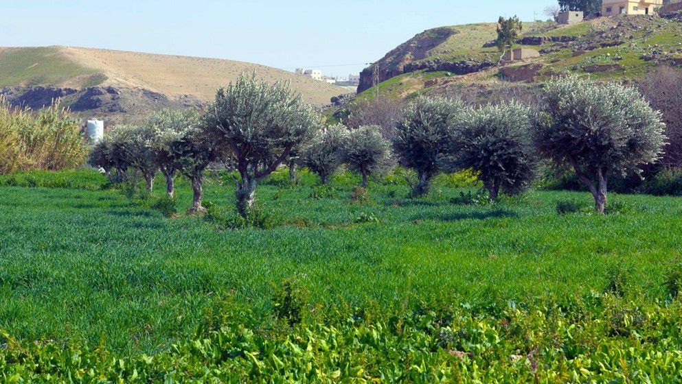 Zarqa River: Boundary of ancient kingdoms, route of travelers...