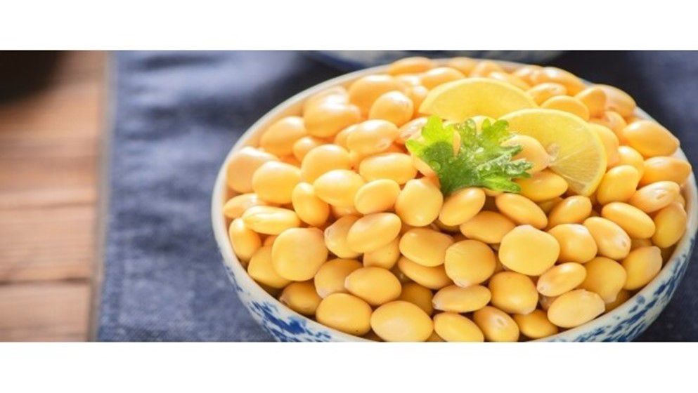 Sweet Lupine: A Nutritious Snack with Amazing Health Benefits...