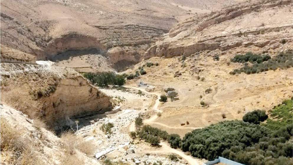 UNICEF, Miyahuna launch climate water plan...