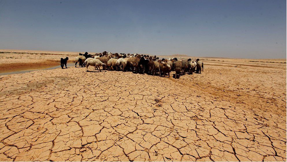 Managing climate risks through regional collaboration...