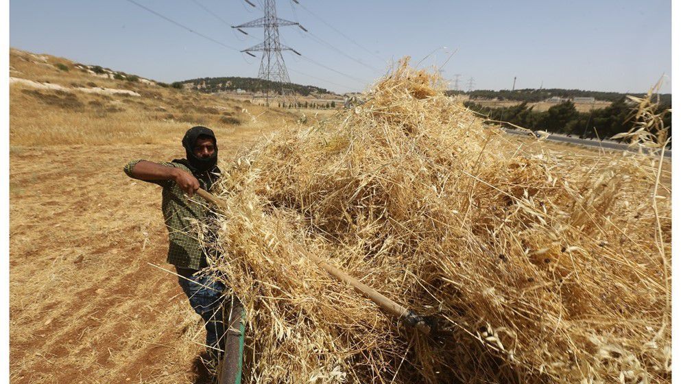 Jordan's exports to GAFTA countries to JD2.5b in 2022...