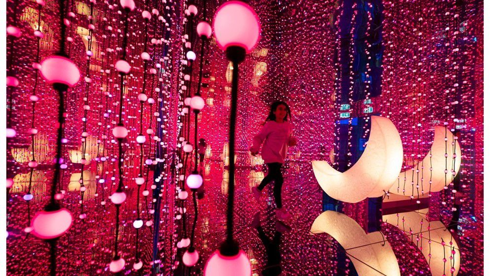 ‘So cute!’ : Swedish selfie ‘museum’ gets super liked...