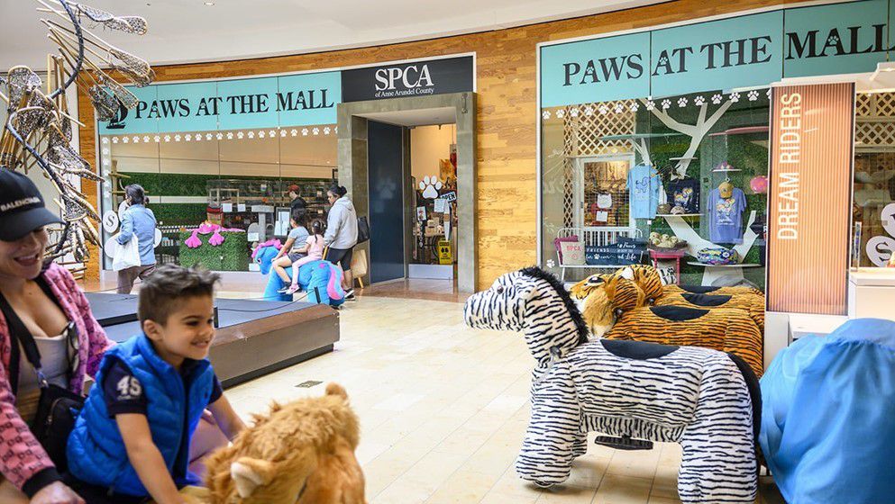 Can actual rats save the mall?...
