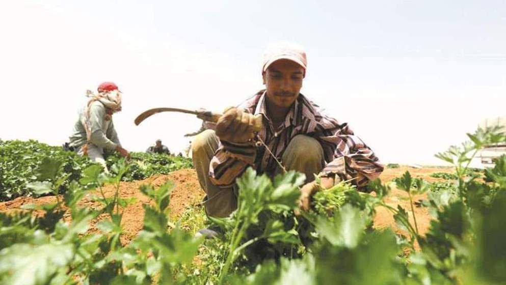 Agriculture workers demand greater support for sector...