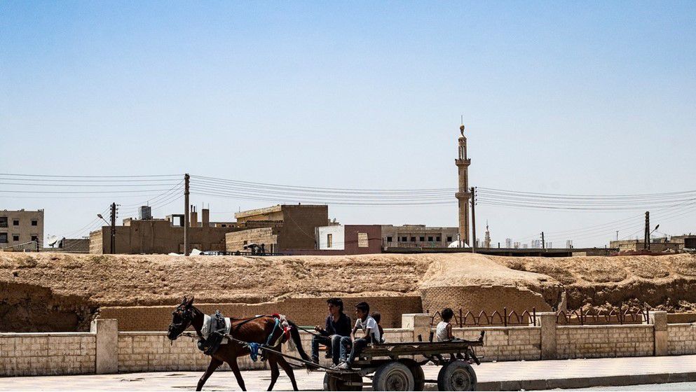 Daesh kills 9 pro-regime fighters in eastern Syria — monitor...