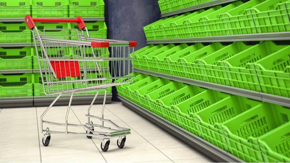 Over half of Jordanian households face food insecurity, report...