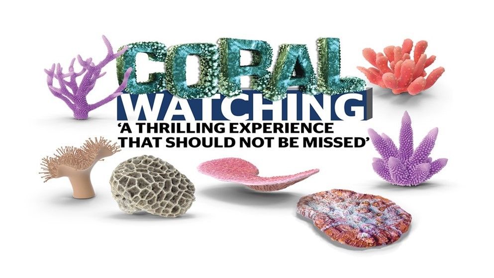 Coral watching ‘a thrilling experience that should not be miss...