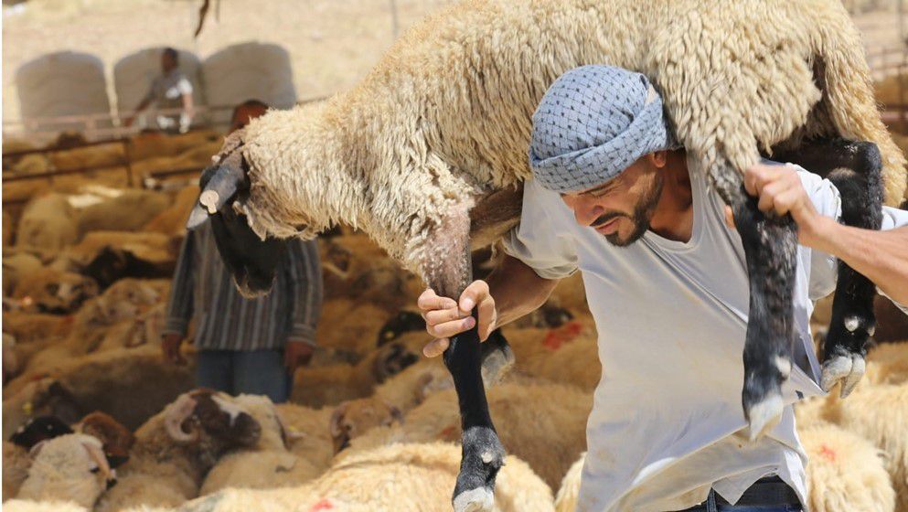 PSD presents sacrificial animals in names of its martyrs...