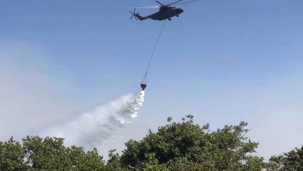 Armed Forces airdrop 214 tonnes of water to extinguish Ajloun ...