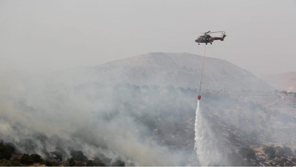 Jordan sends four fire-fighting planes to assist in Greek fore...