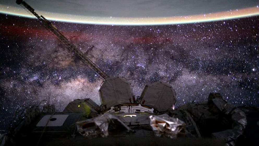 Blobs in space: Slime mold to blast off for ISS experiment...