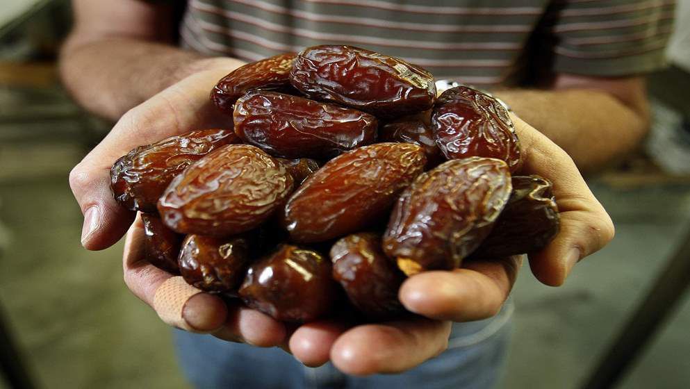 Jordanian dates become the go-to smart food of Ramadan...