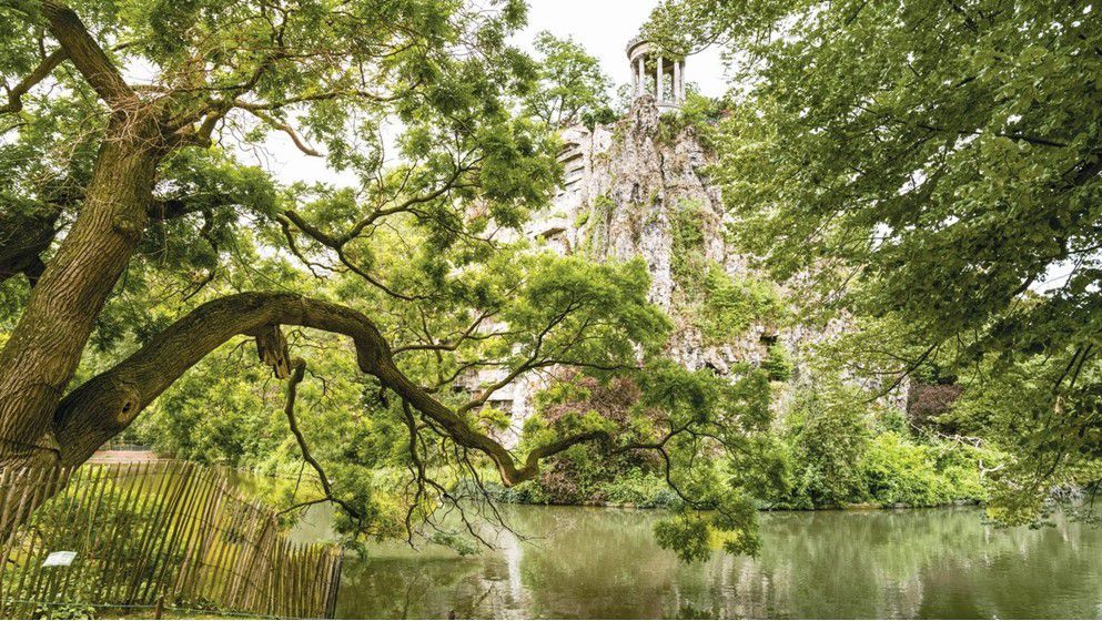 Admiring the trees of Paris...