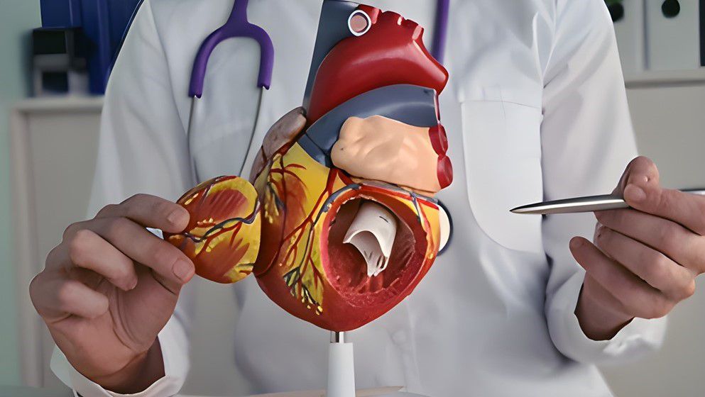 JFDA announces suspension pf Trifecta GT valve - Mheidat...